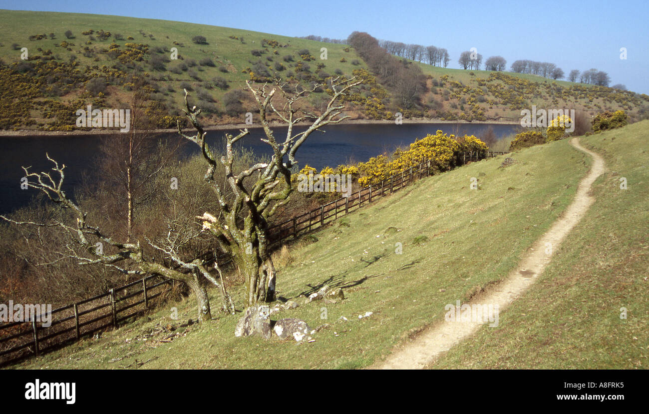 Meldon Reservoir on the edge of Dartmoor Stock Photo - Alamy