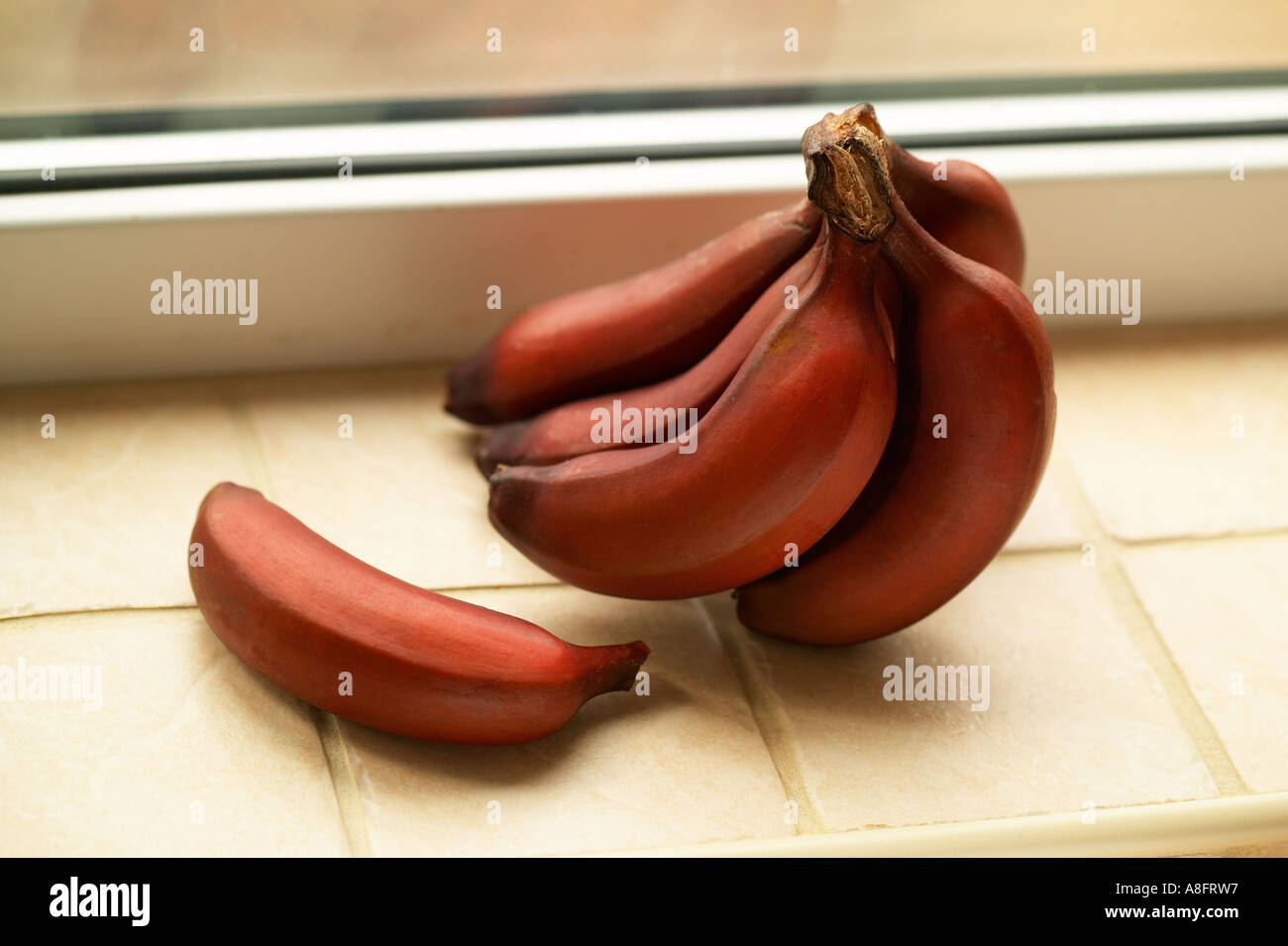 unusual red bananas Stock Photo - Alamy