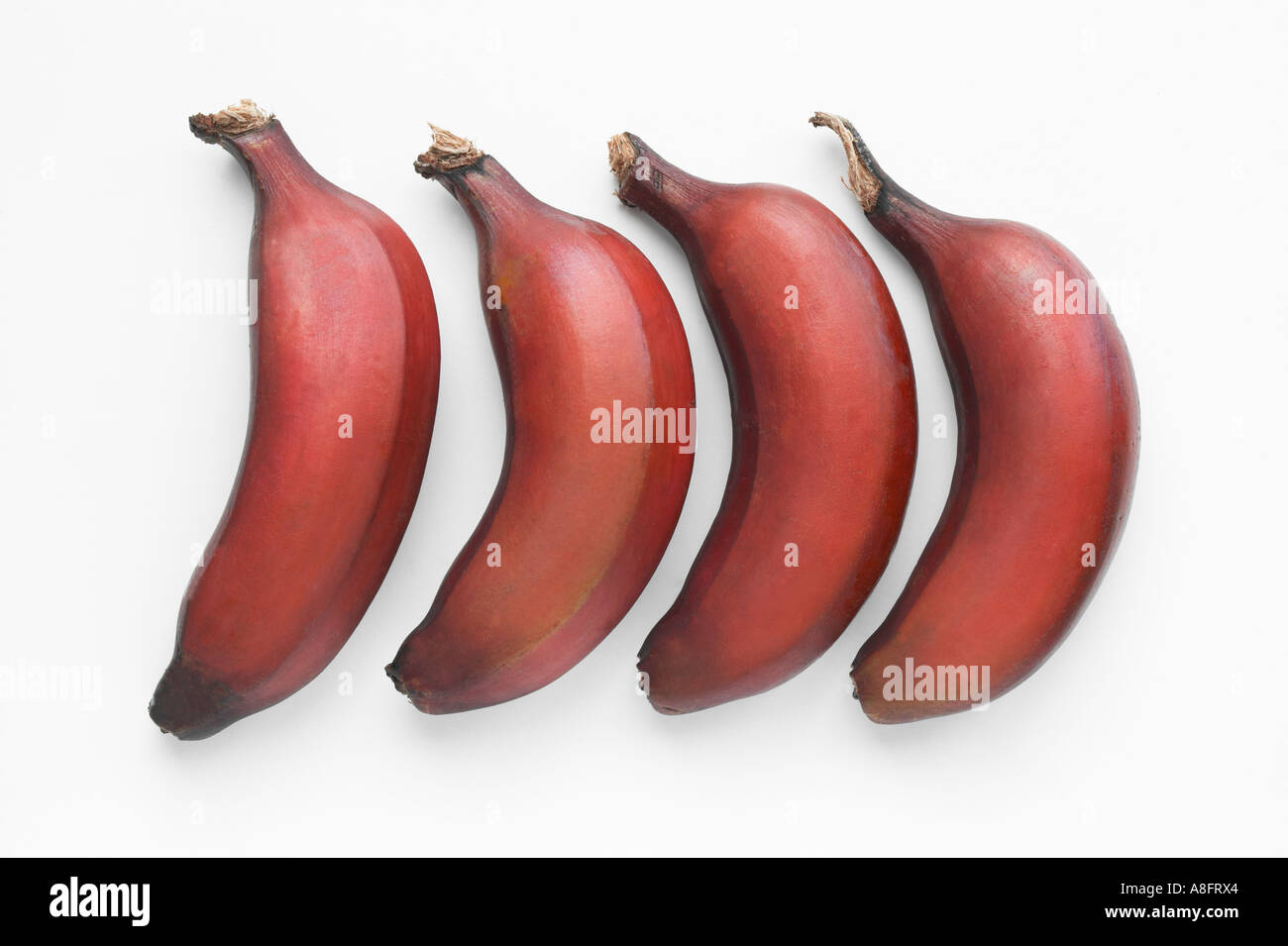 unusual red bananas Stock Photo - Alamy