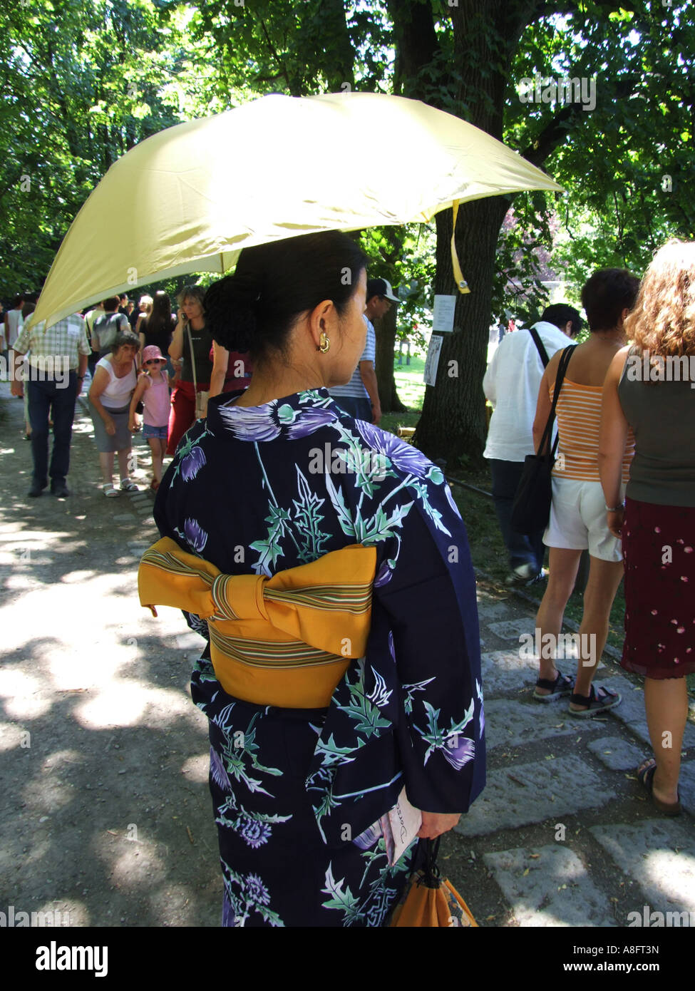 Japanese traditional lady hi-res stock photography and images - Alamy