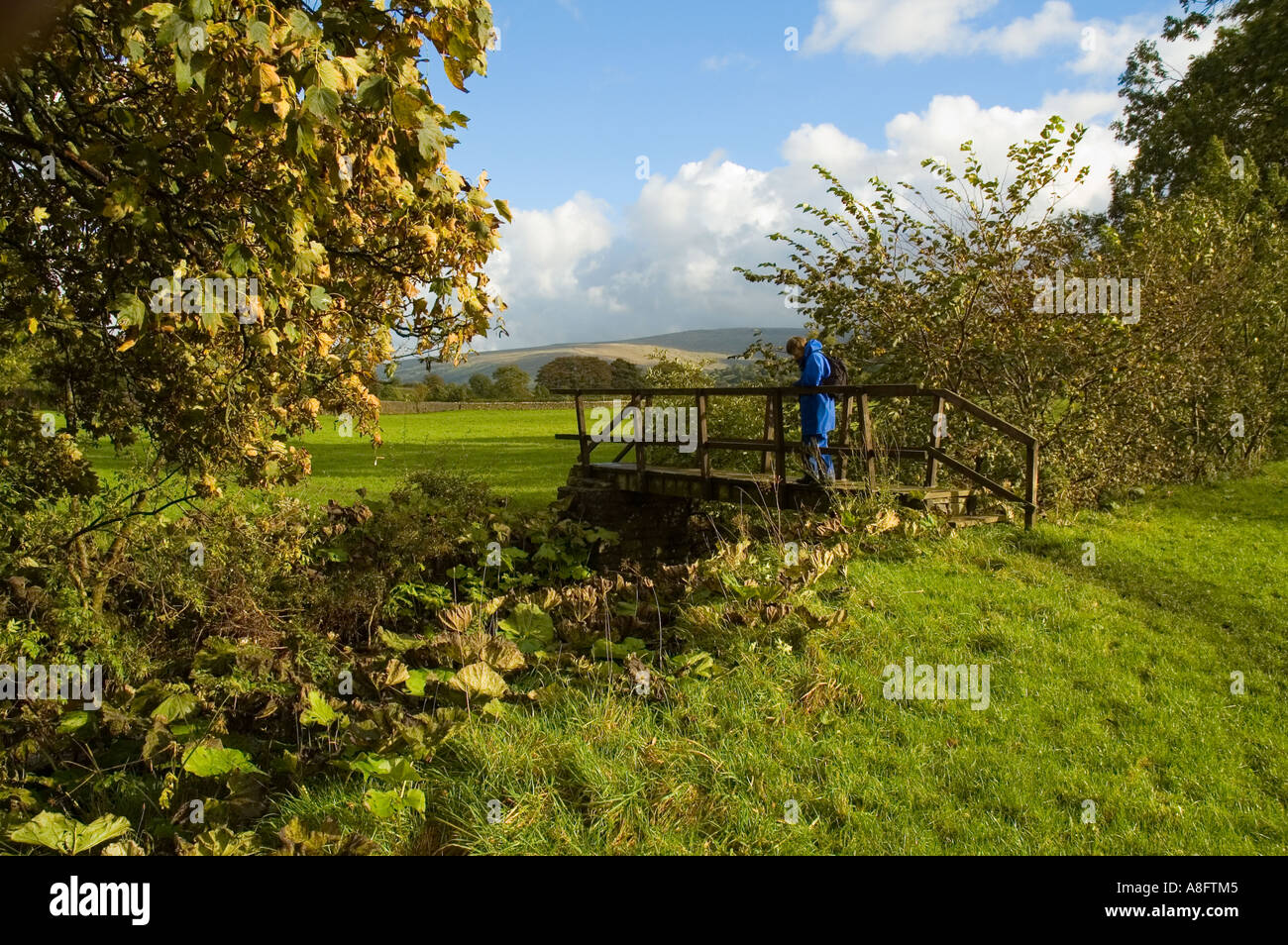 A walker crossing a small footbridge in Dentdale, Yorkshire Dales ...