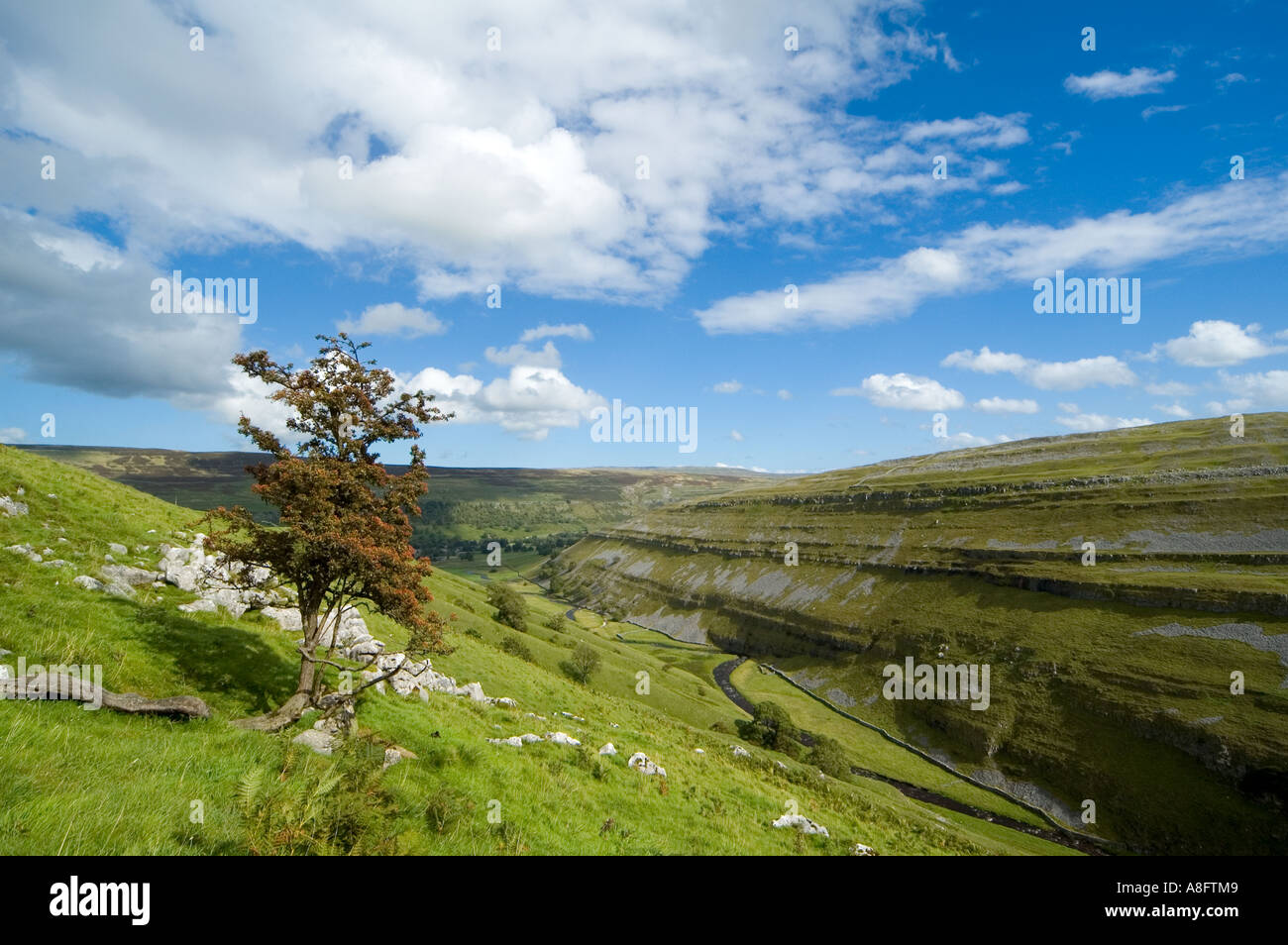 Limestone scenery yorkshire hi-res stock photography and images - Alamy