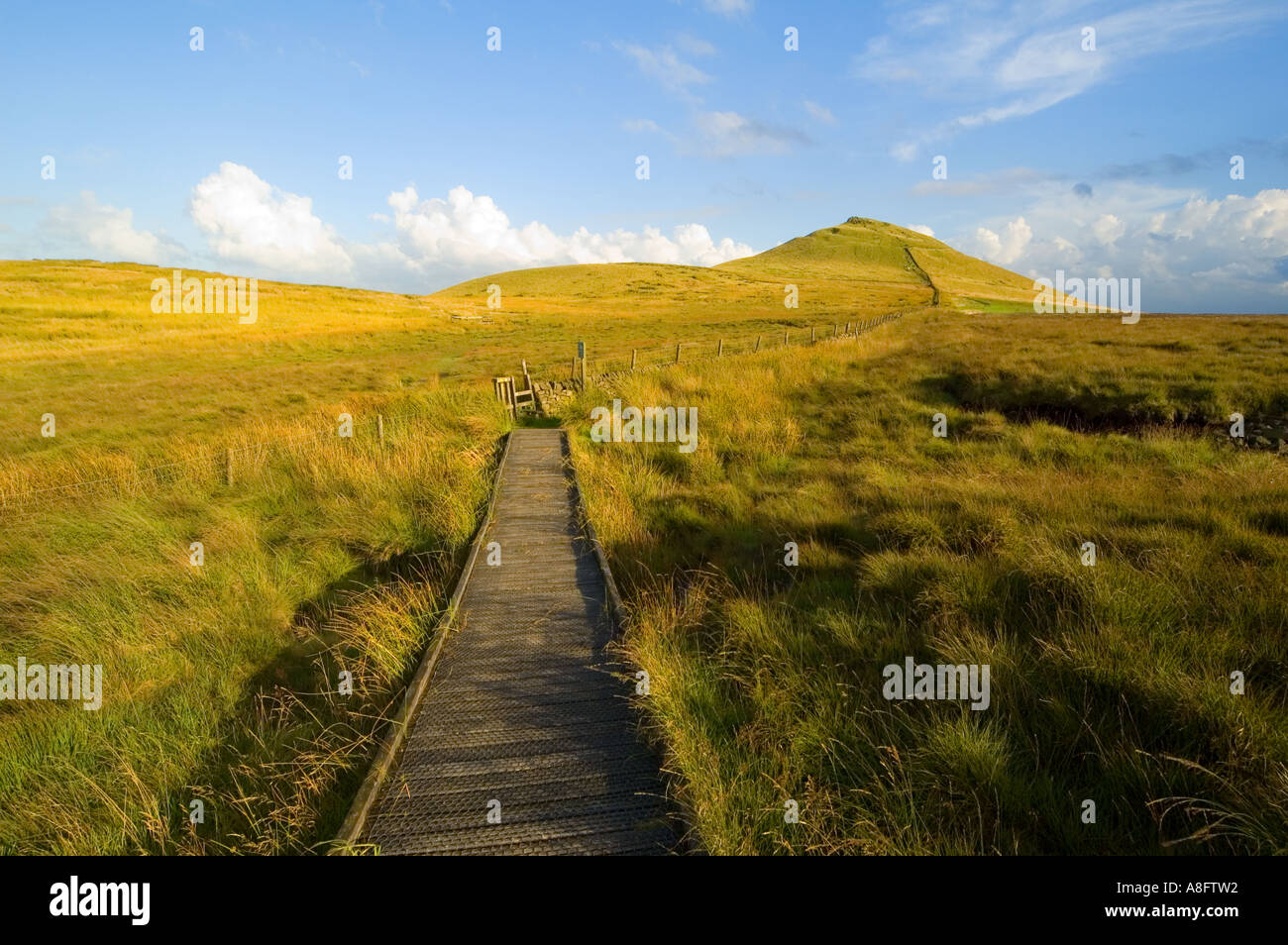 Shutlingsloe in Cheshire, Peak District National Park, England, UK ...