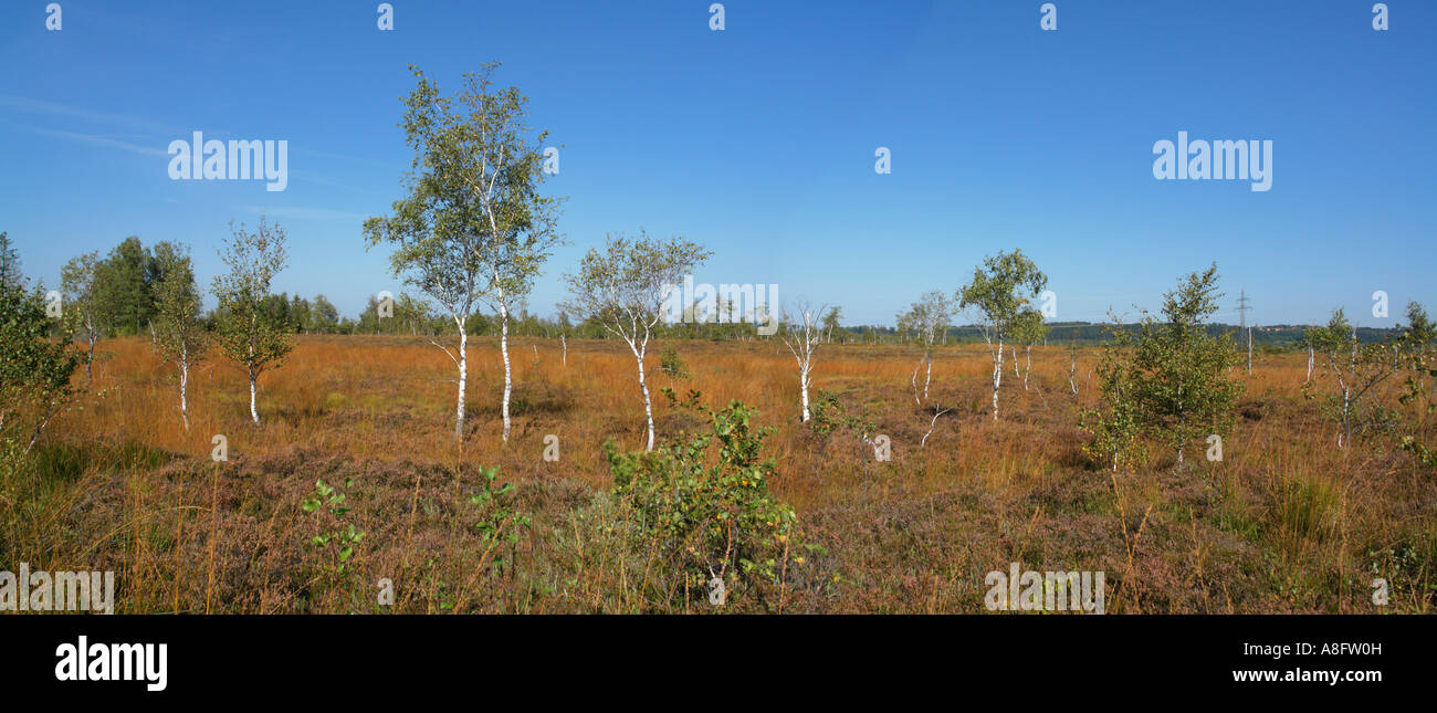 Marshland hi-res stock photography and images - Alamy
