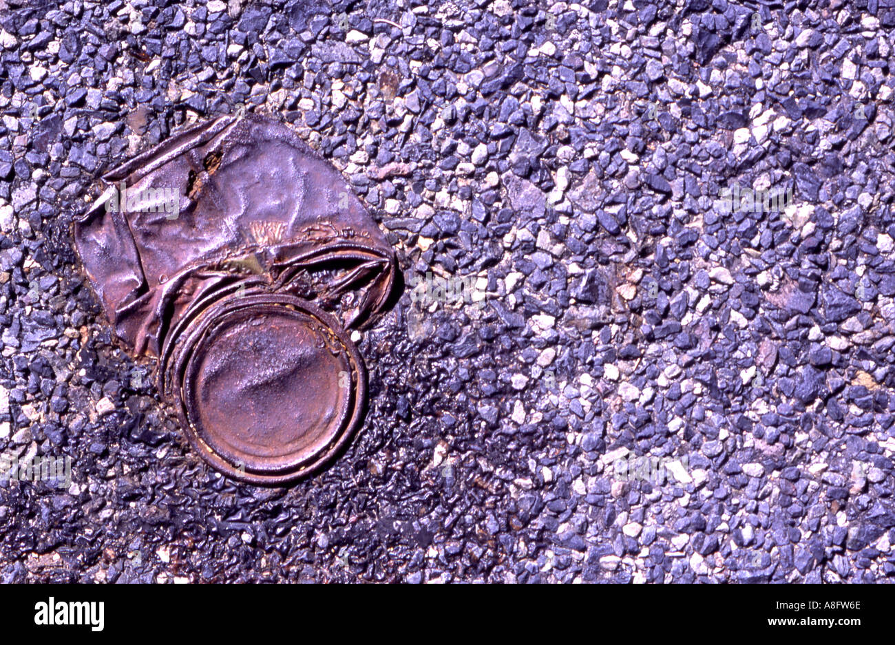 A flattened rusty can of beans on a bitumen road Stock Photo - Alamy