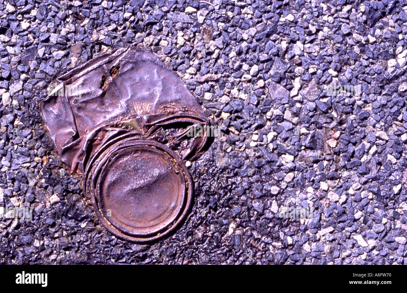 A flattened rusty can of beans on a bitumen road Stock Photo - Alamy