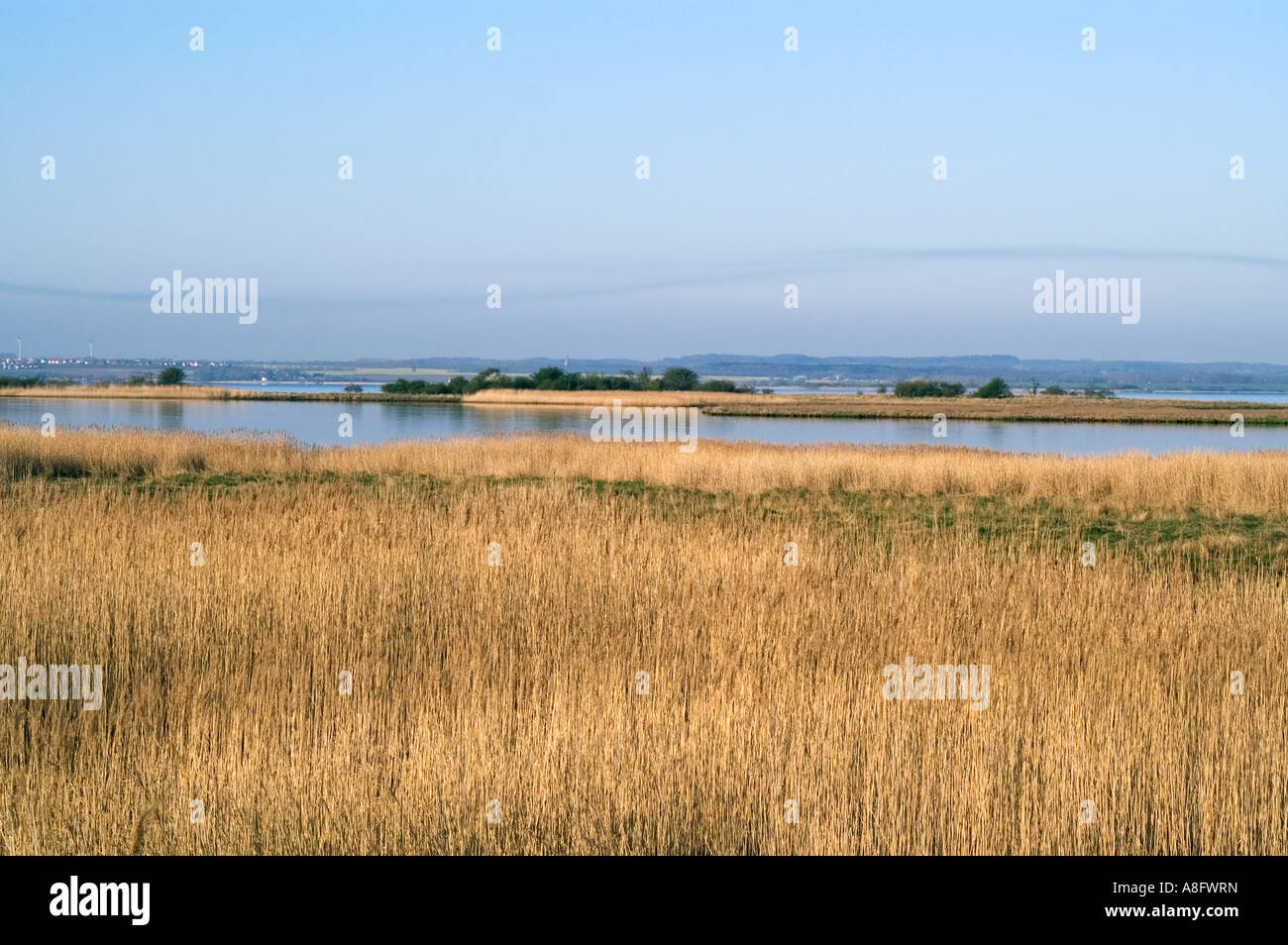 Poel Island, Mecklenburg Western Pomerania, Germany Stock Photo - Alamy