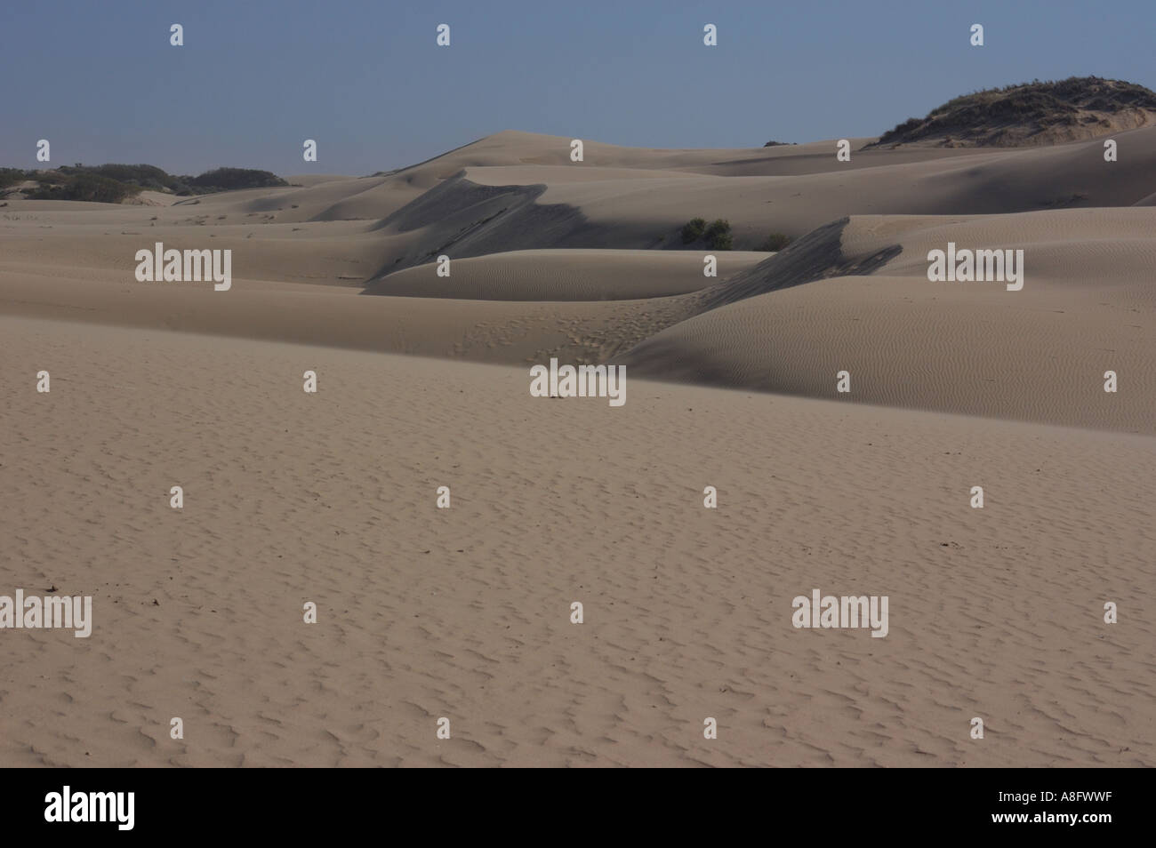 Oceano Sand Dunes Stock Photo - Alamy