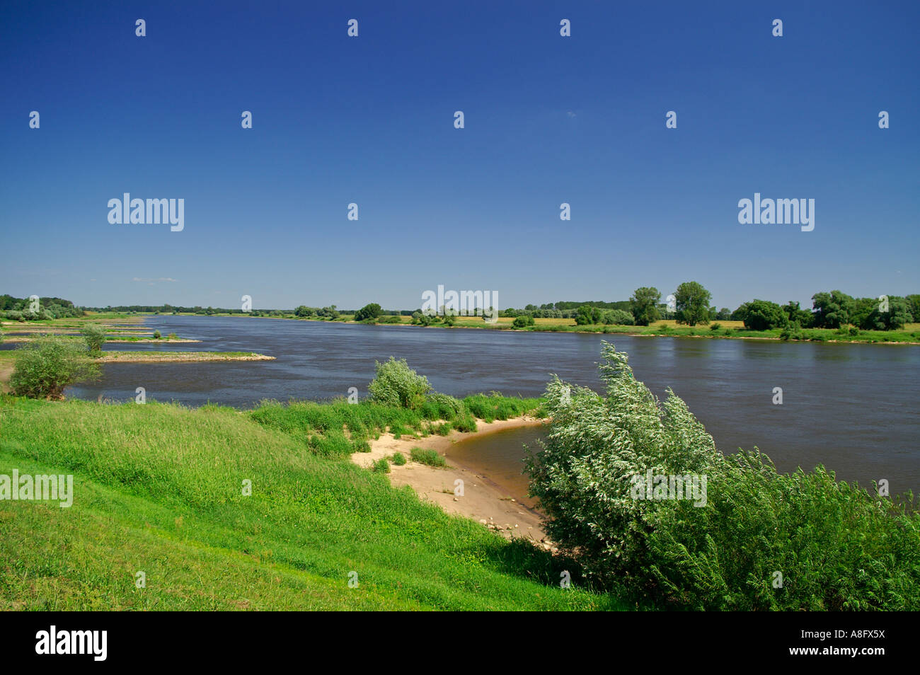 Elbe river near Wittenberge Stock Photo - Alamy