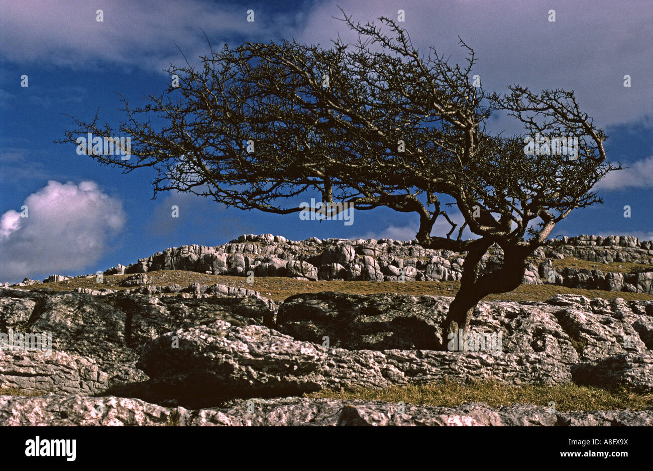 Farleton fell limestone hi-res stock photography and images - Alamy