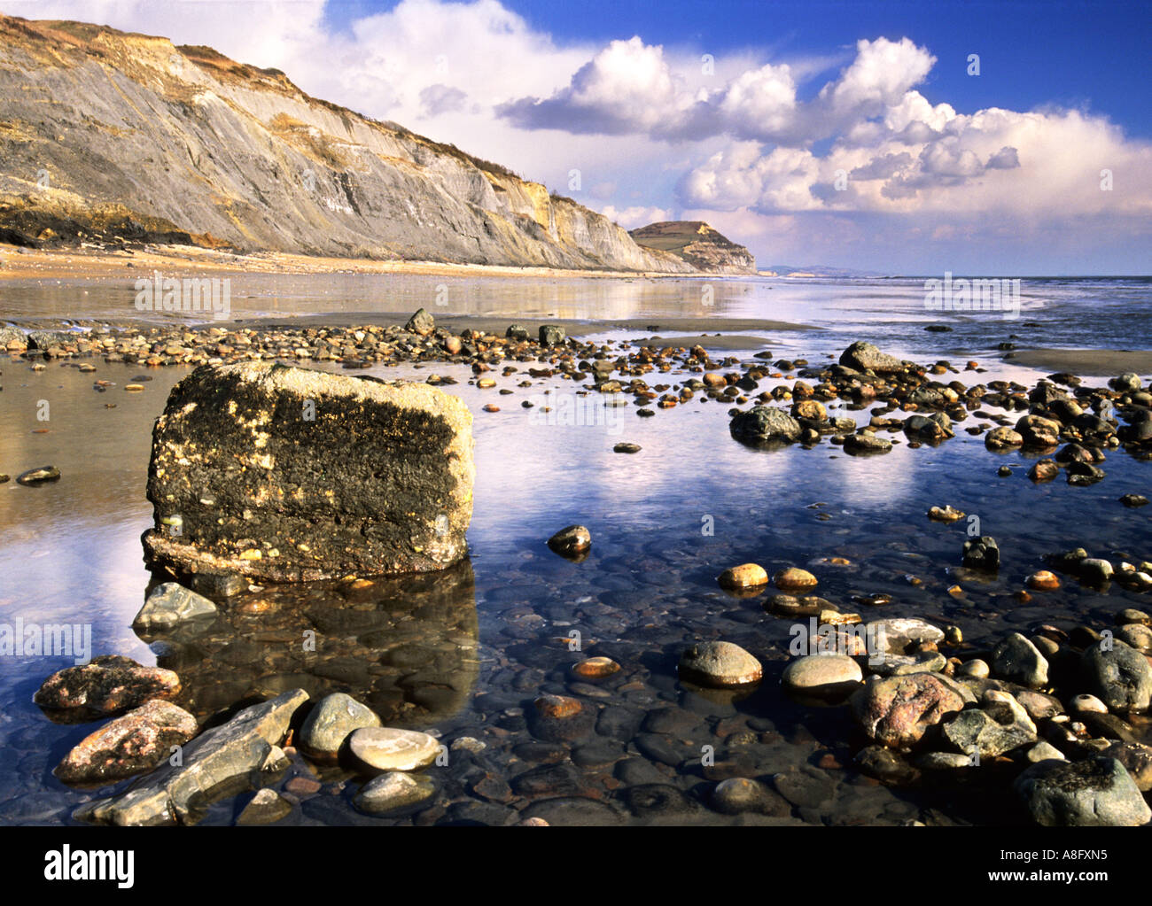 Beach and Cliffs at Charmouth Dorset Stock Photo - Alamy