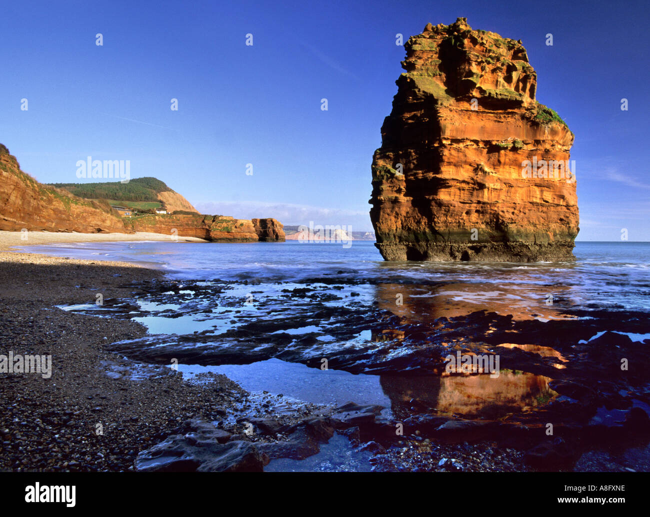 Seastack and cliffs at Ladram Bay Devon Stock Photo - Alamy