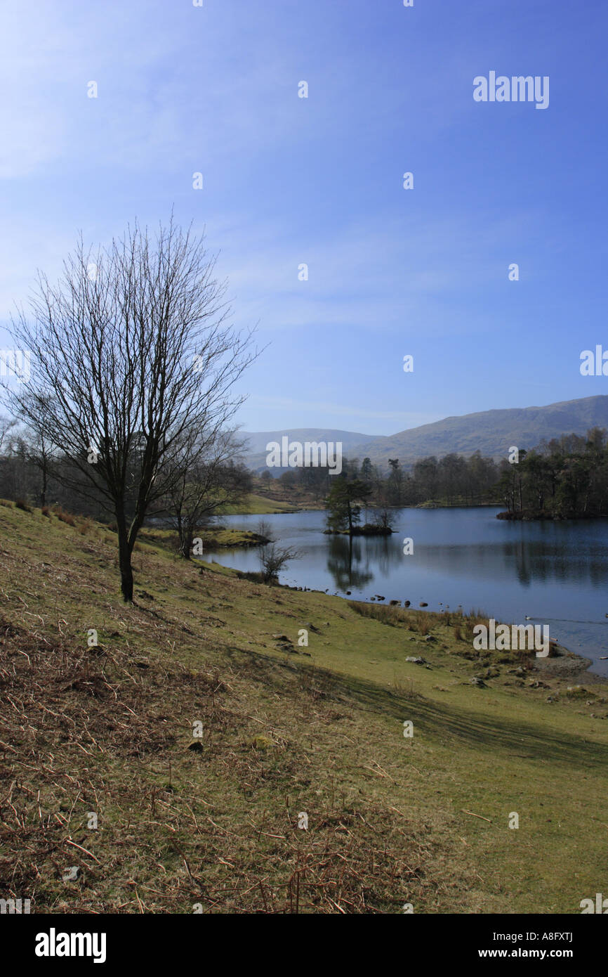 Tarn Hows with Wetherlam & the Coniston Fells in the background Stock ...