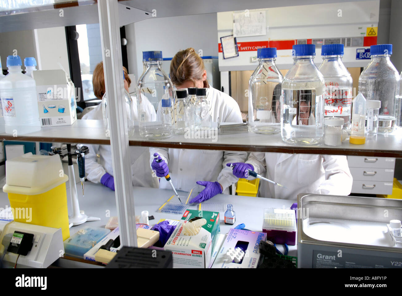 Scientists in stem cell research lab Stock Photo - Alamy