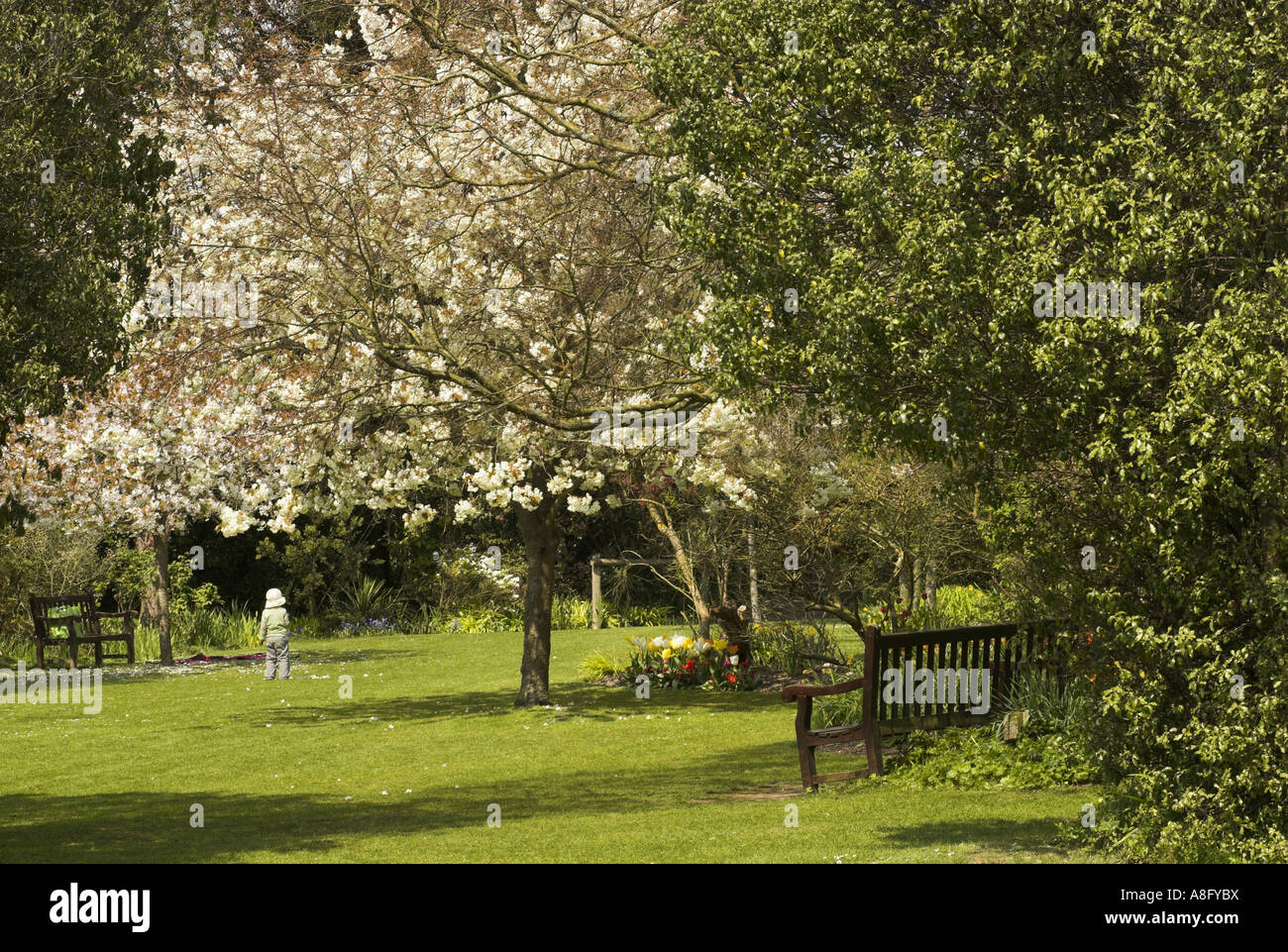 Highdown Gardens, Worthing, West Sussex Stock Photo - Alamy