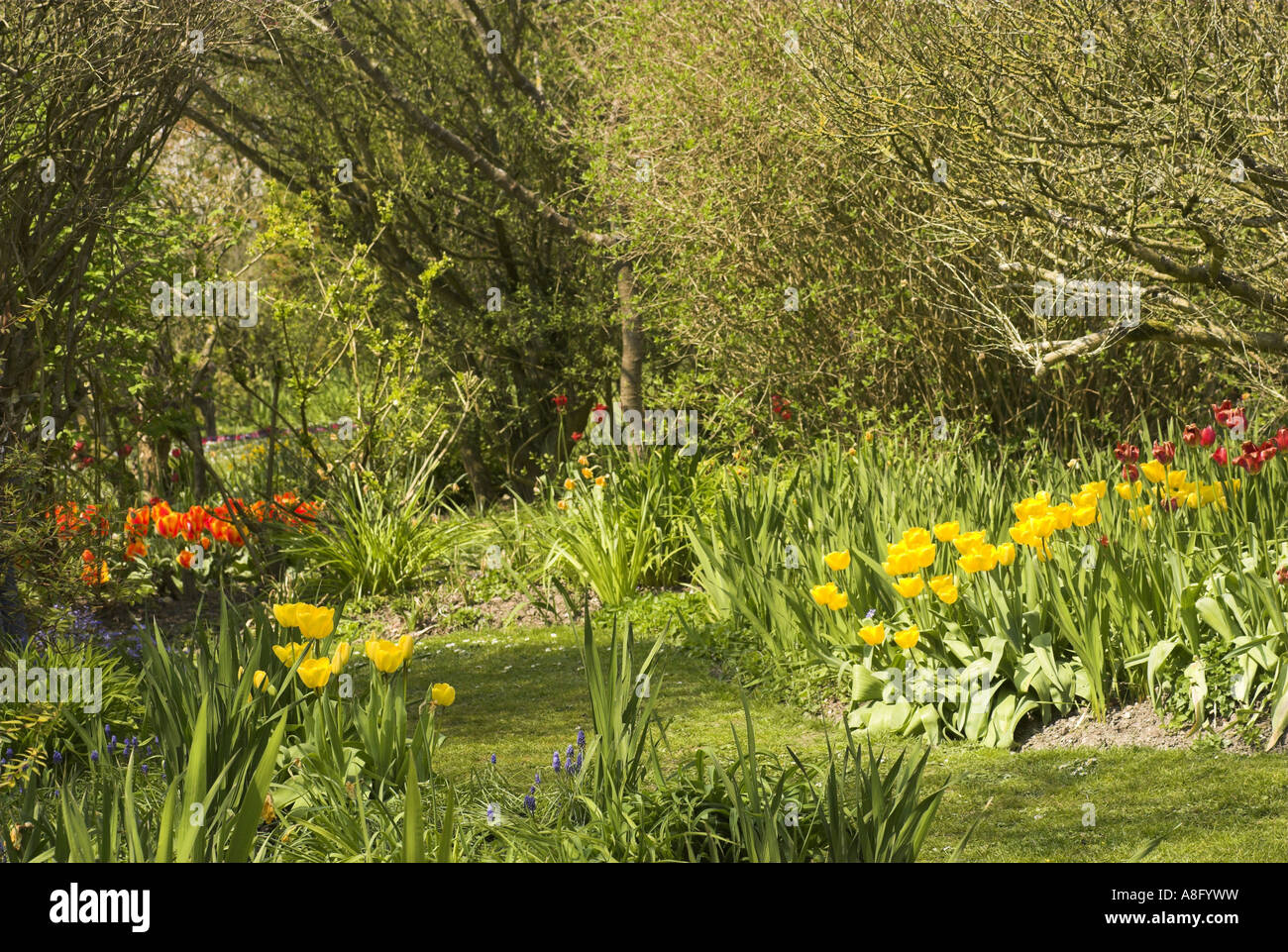 Highdown Gardens, Worthing, West Sussex, England Stock Photo - Alamy