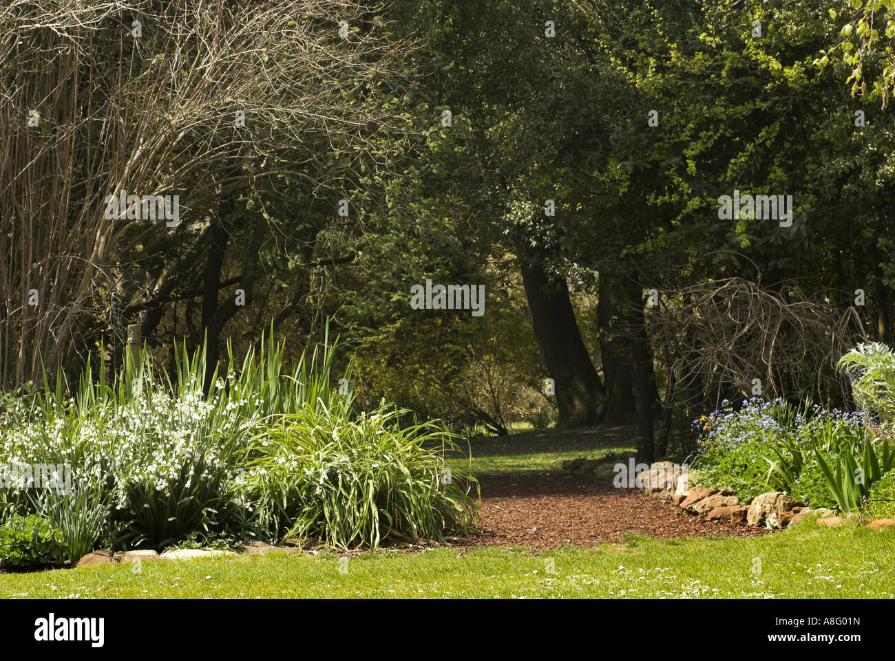 Highdown Gardens, Worthing, West Sussex Stock Photo - Alamy