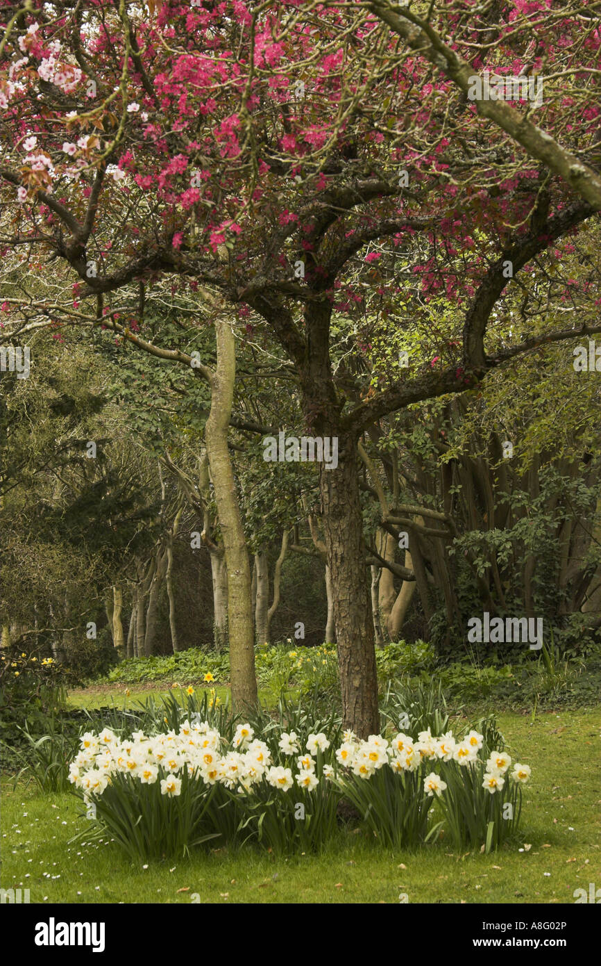 Highdown Gardens, Worthing, West Sussex Stock Photo - Alamy