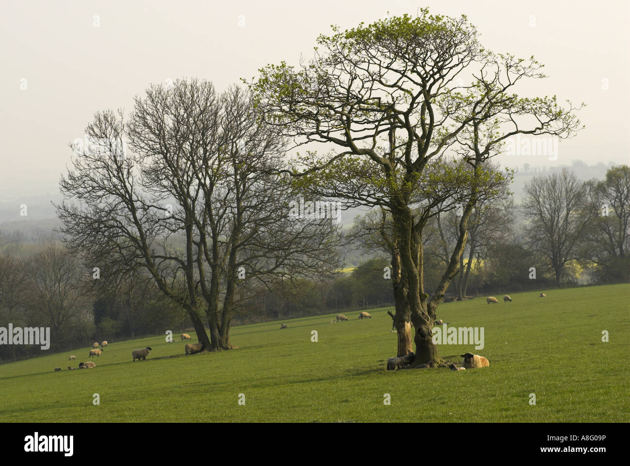 Bignor hill view hi-res stock photography and images - Alamy