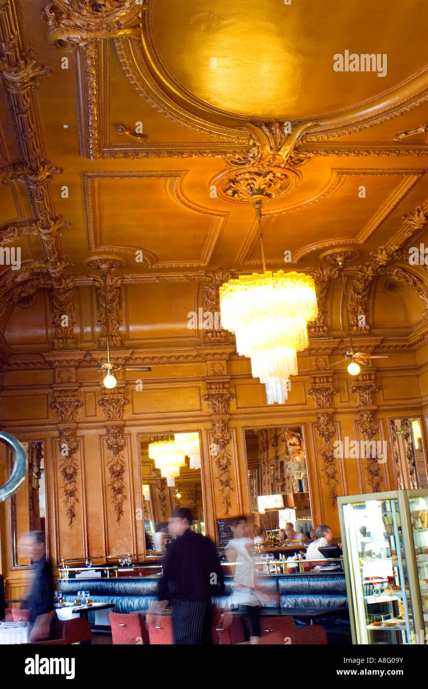 Toulouse France, Barman Working inside Old "French Brasserie Restaurant ...