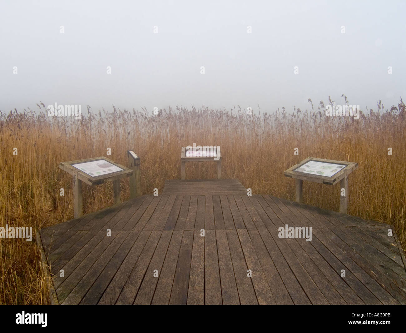 Obscured viewing hi-res stock photography and images - Alamy