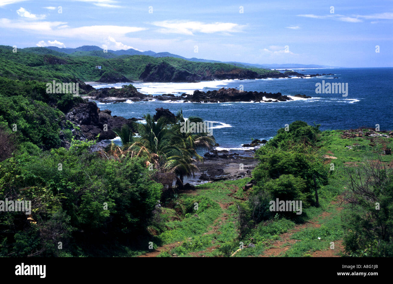 Acapulco Mexico mexican beach sea blue palm tree Stock Photo - Alamy