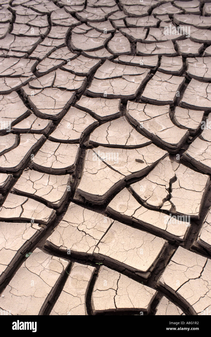 Mexico Central America wild wilderness heat desert dry mud Stock Photo ...