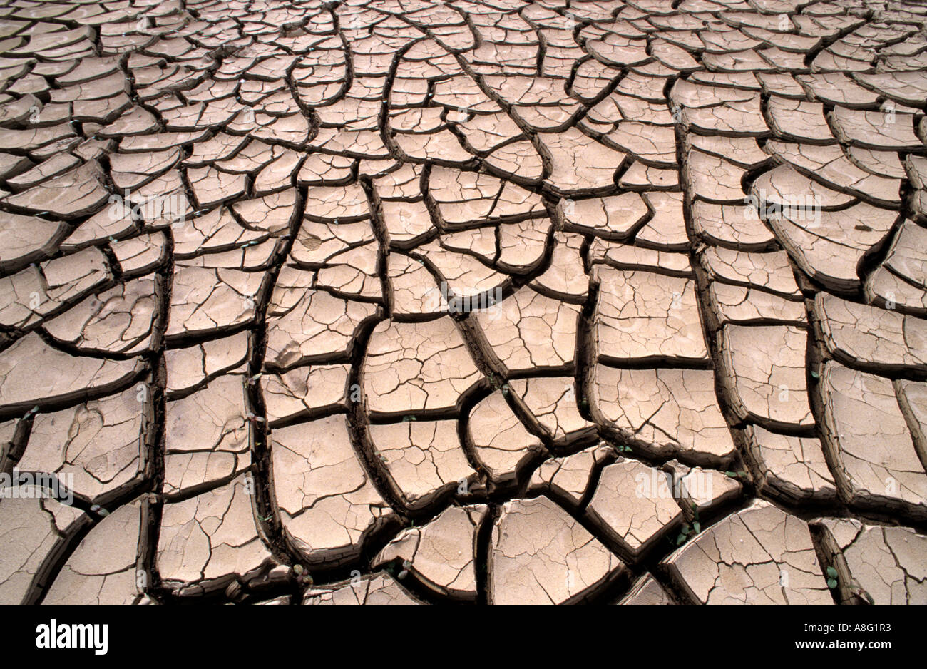 Mud dry mexico hi-res stock photography and images - Alamy