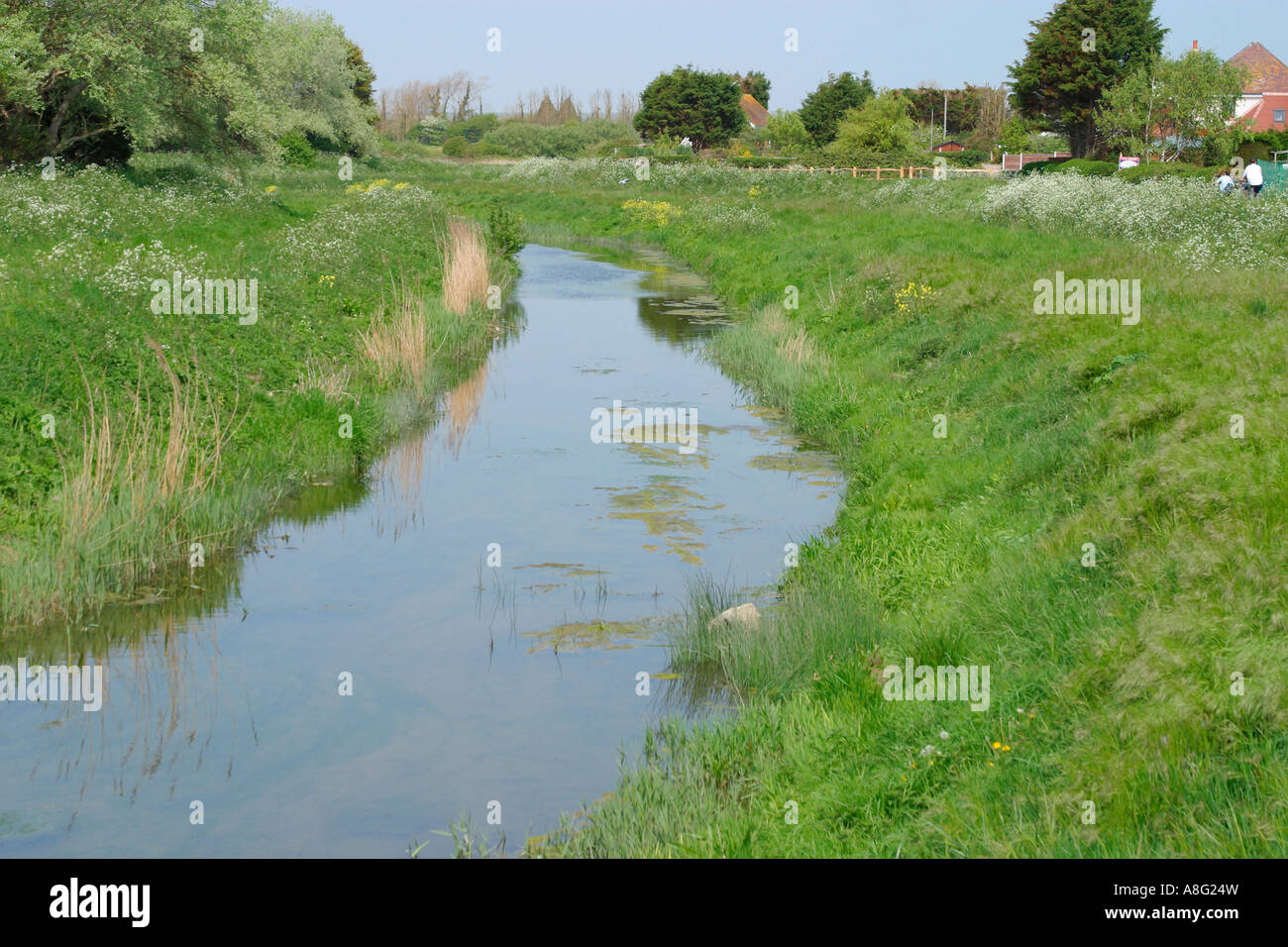 Late Spring at Ferring Rife, near Worthing, West Sussex, UK Stock Photo ...