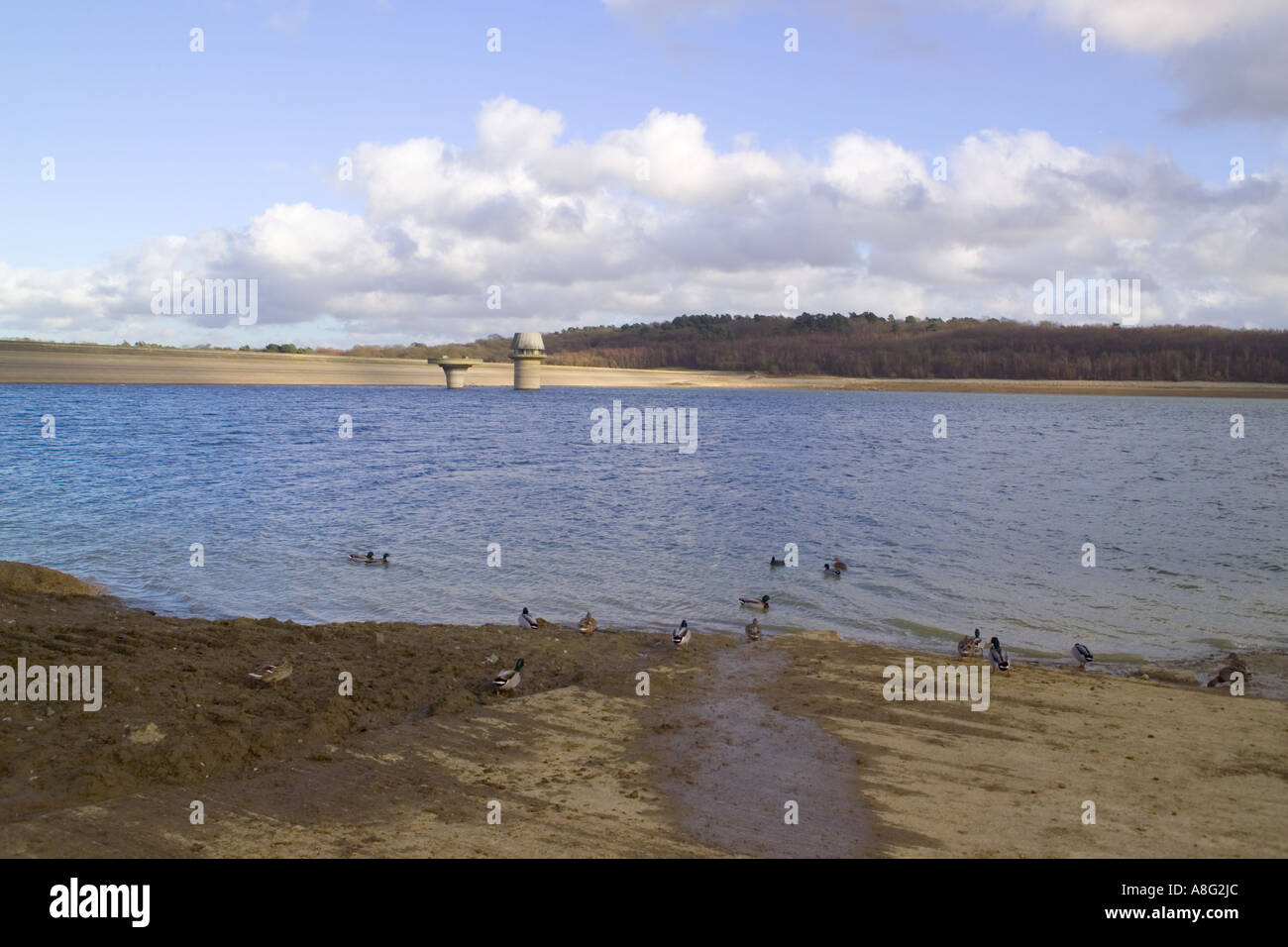 Bewel Water Kent at Historic low levels Stock Photo - Alamy