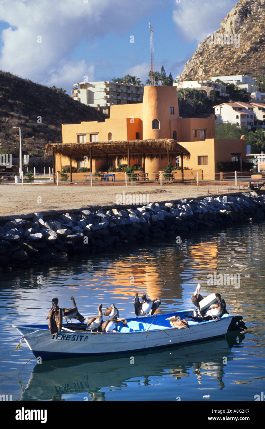 Mexico cabo san lucas spanish hi-res stock photography and images - Alamy