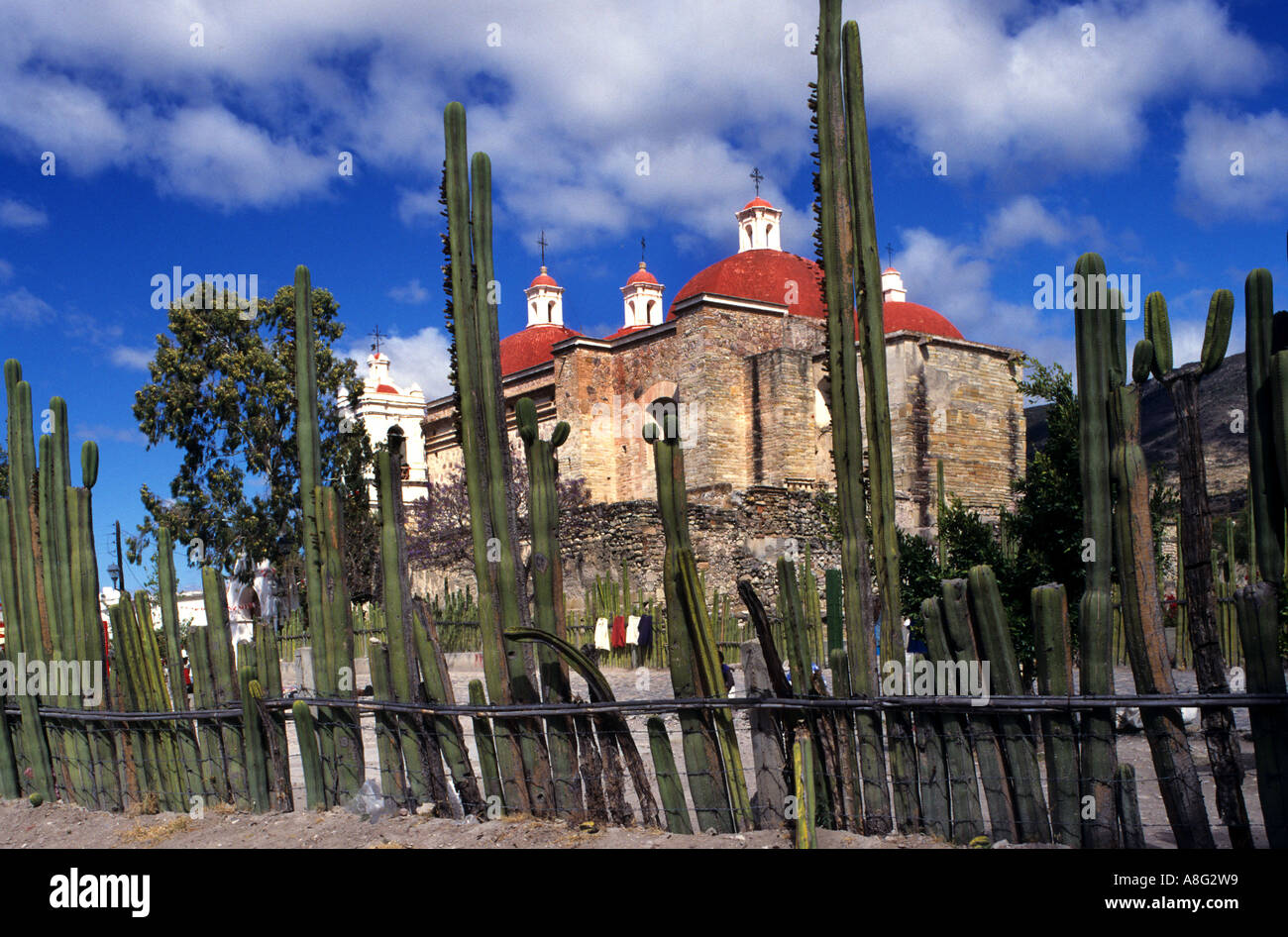 Mixtec city Mitla Mexico Mexican Church Cactus Stock Photo - Alamy