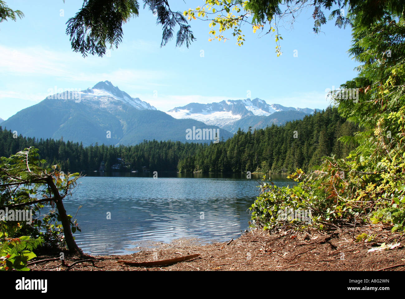 Levette hi-res stock photography and images - Alamy