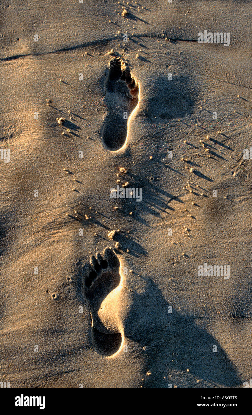 footprints in sand, Northern Territory, Australia Stock Photo - Alamy