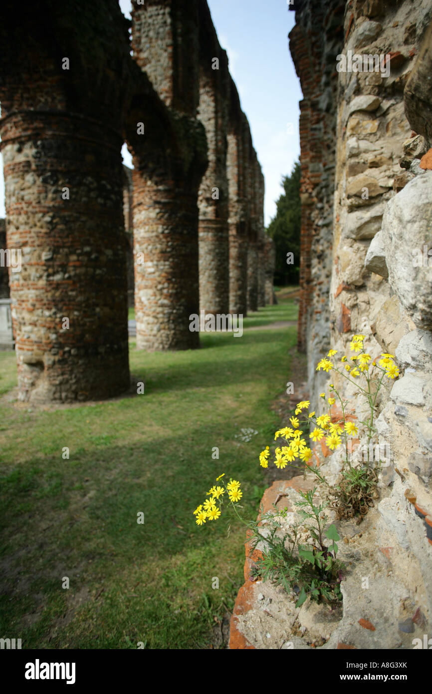 St Botolph's Priory, Colchester, Essex, England, UK Stock Photo - Alamy