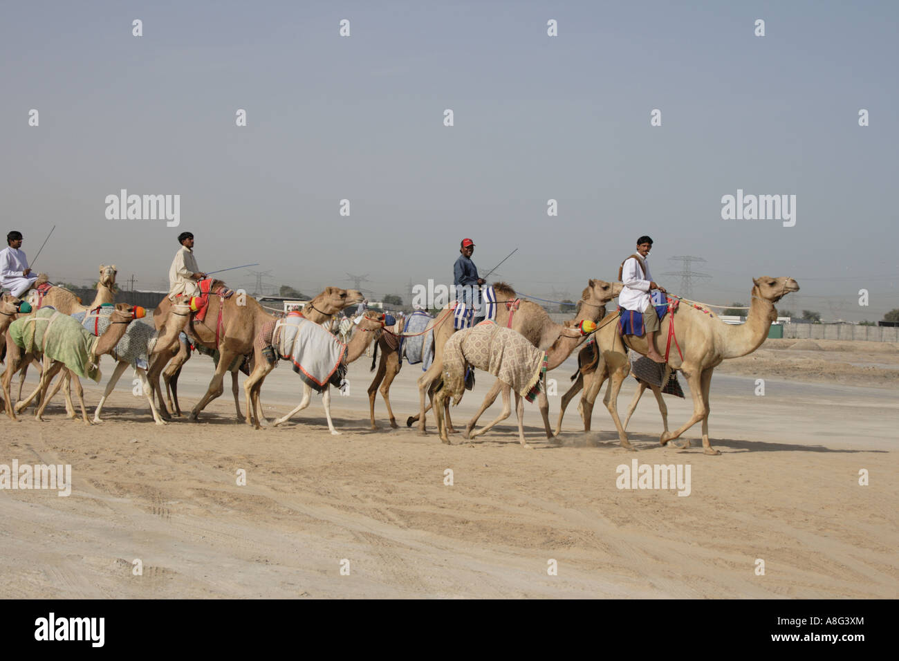 camel racing district Dubai, United Arab Emirates. Photo by Willy ...