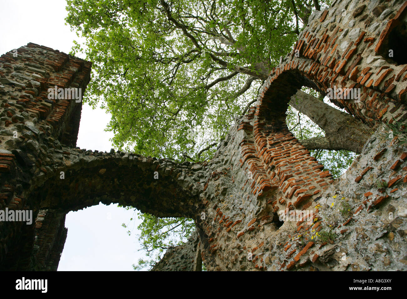 St Botolph's Priory, Colchester, Essex, England, UK Stock Photo - Alamy