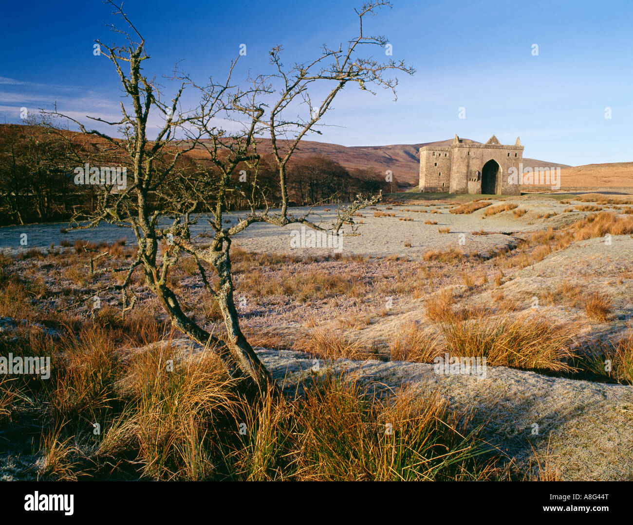 A cold and frosty winters morning in the Debateable Lands Hermitge ...