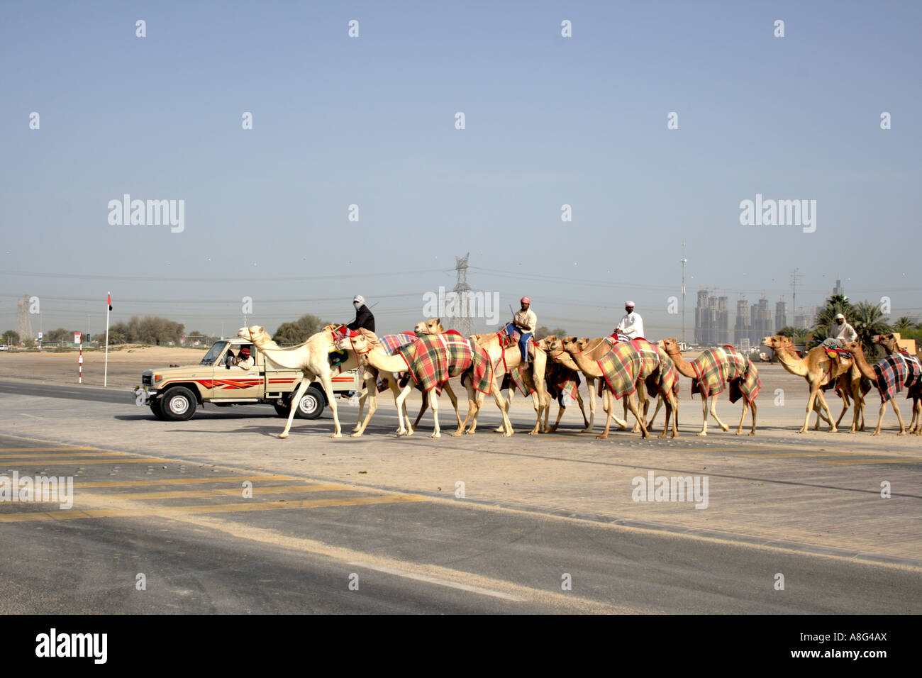 Camel dubai jockey hi-res stock photography and images - Alamy