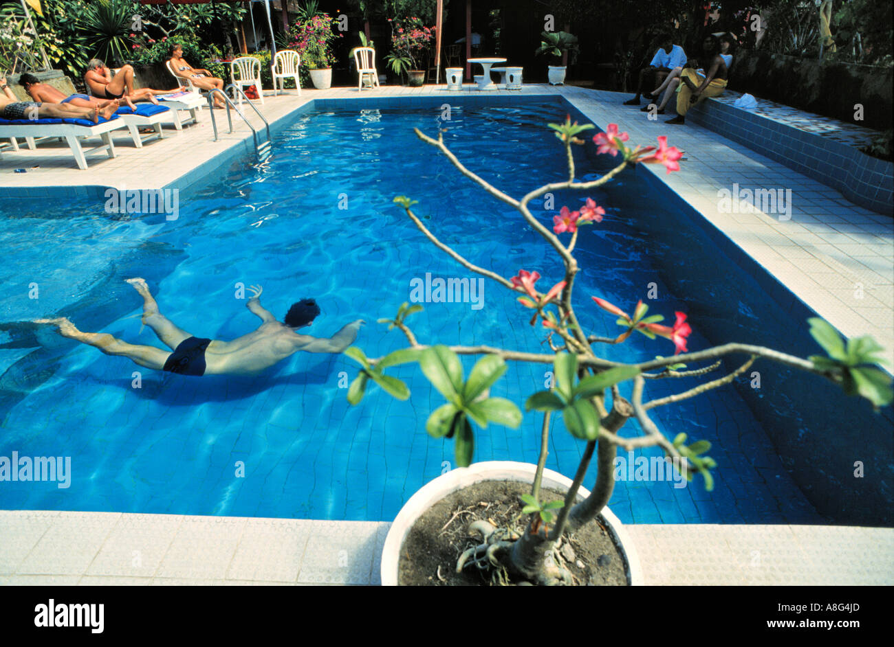 Swimmingpool diving hi-res stock photography and images - Alamy