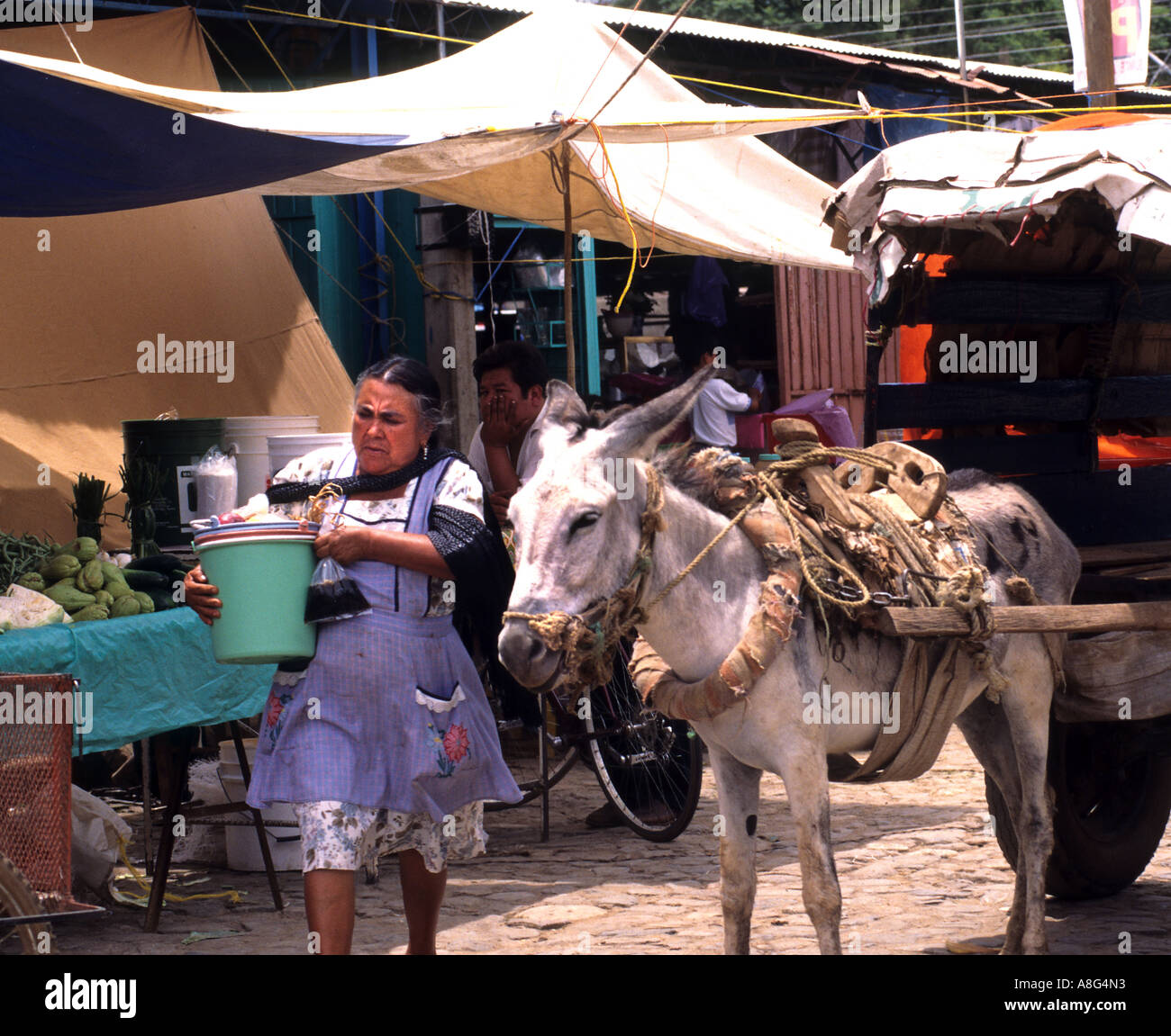 Mexico Oaxaca Mexican woman donkey market cart Stock Photo - Alamy