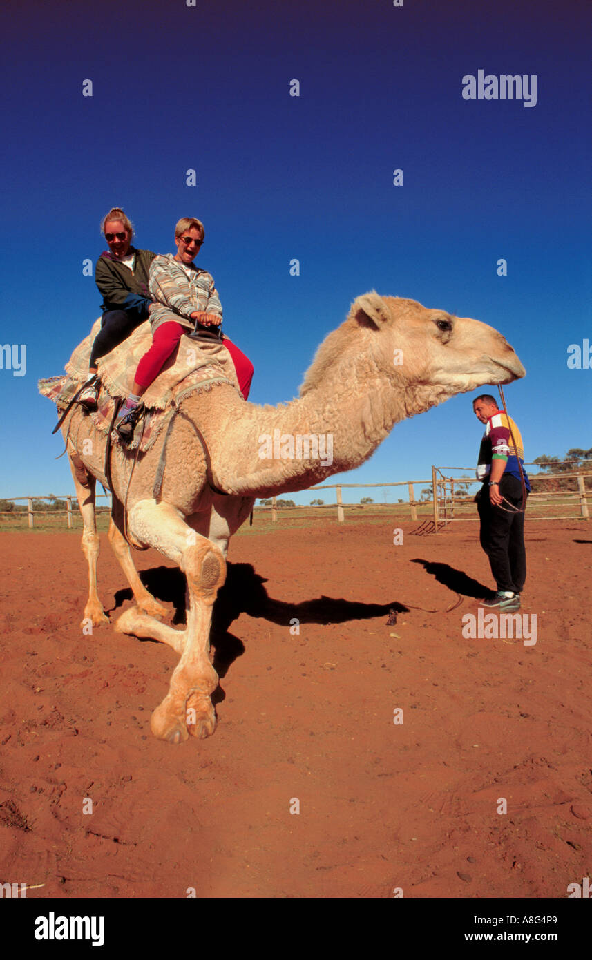 Camel safari australia hi-res stock photography and images - Alamy