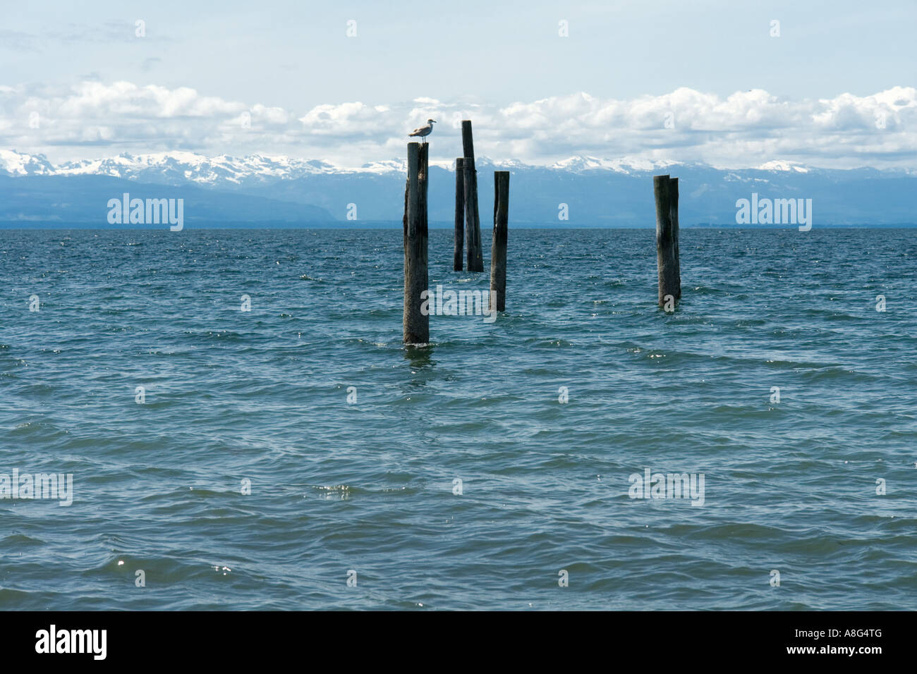 Texada island hi-res stock photography and images - Alamy