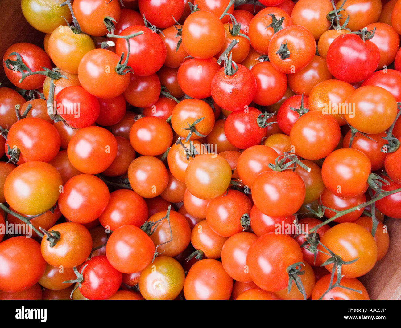 Babay hi-res stock photography and images - Alamy