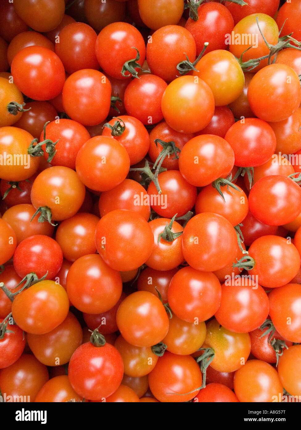 baby roma tomatoes Stock Photo - Alamy