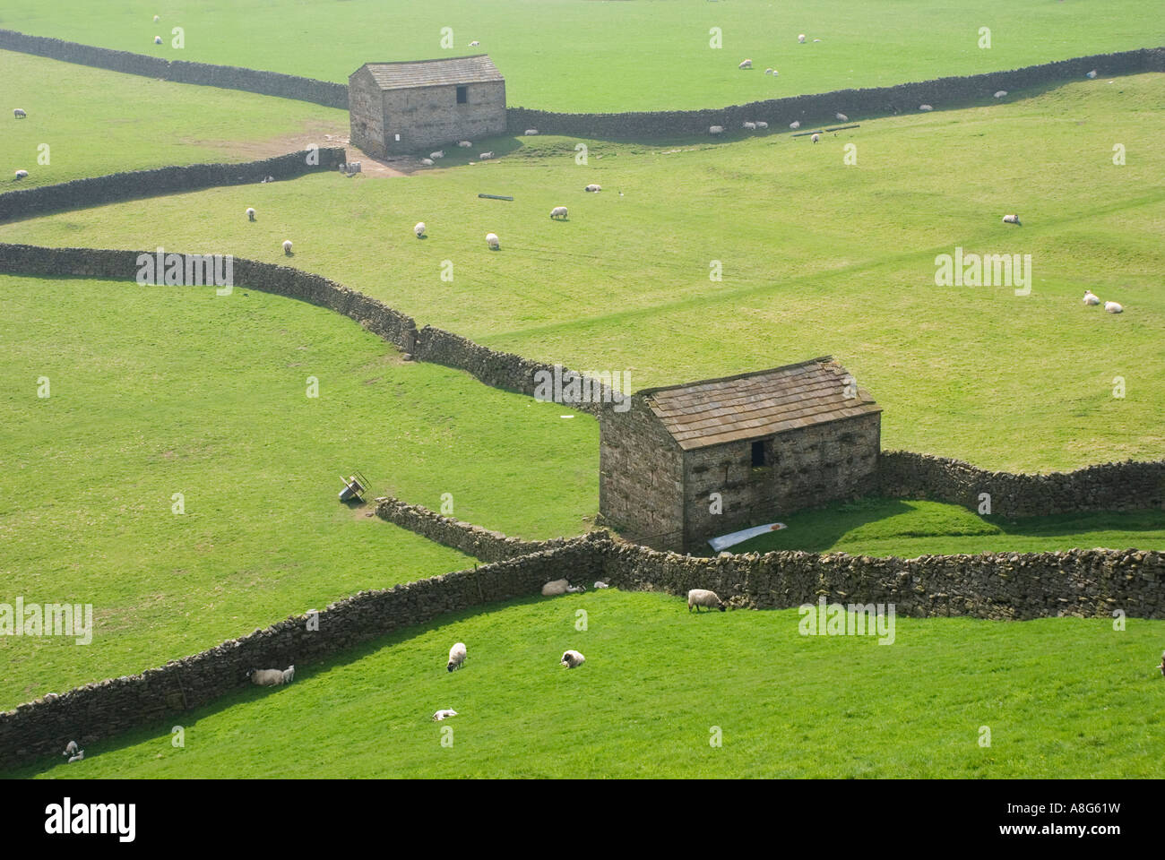 Barns in Gunnerside, Swaledale, Yorkshire Stock Photo - Alamy