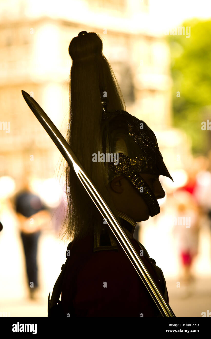 Royal Horse guard Stock Photo - Alamy