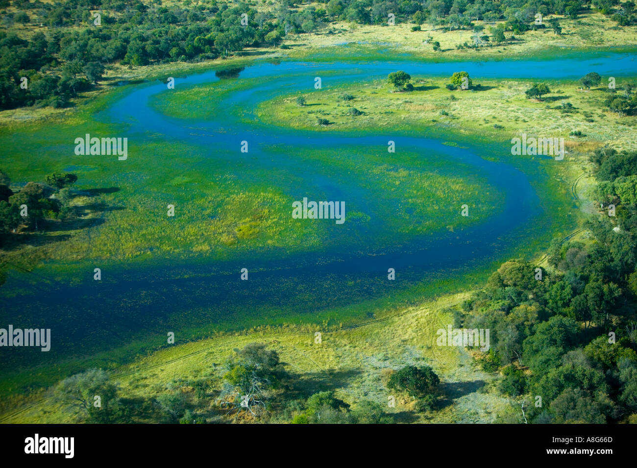 Snaking water in Okavango delta flood season Stock Photo - Alamy