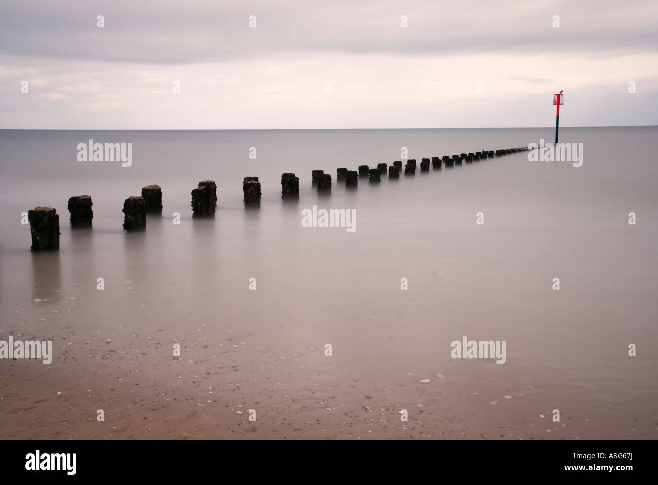 Groynes in Bridlington Bay, Yorkshire, UK Stock Photo - Alamy