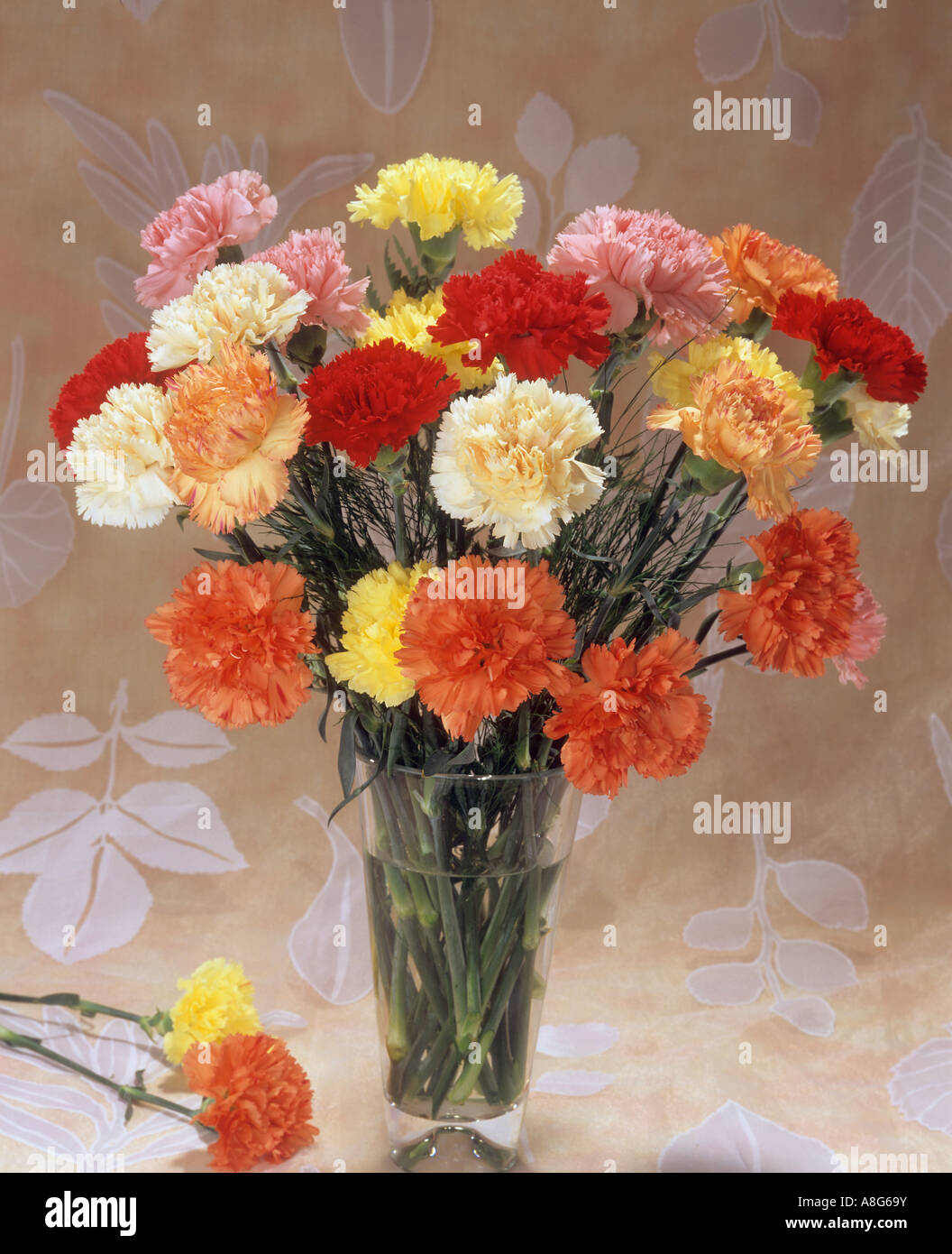 bouquet with carnations Stock Photo - Alamy